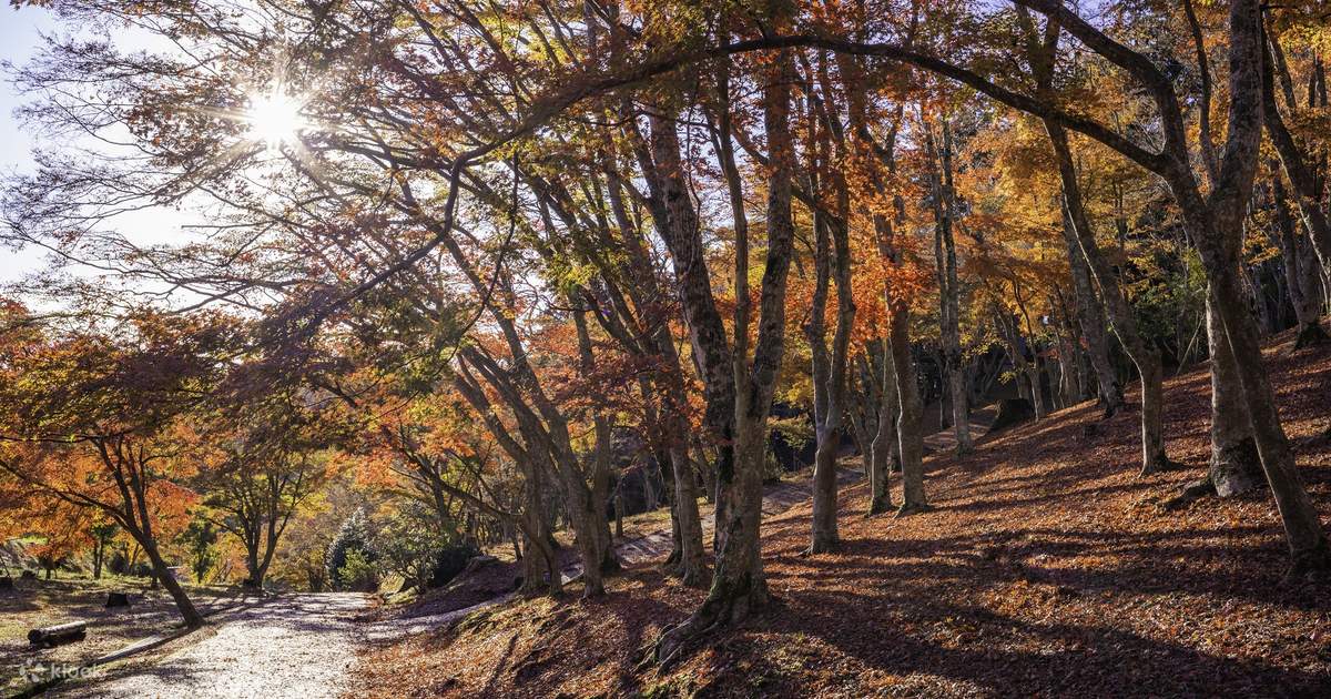[Chuyến tham quan ngắm phong cảnh một ngày ở Izu] Shuzenji Niji no Sato ...